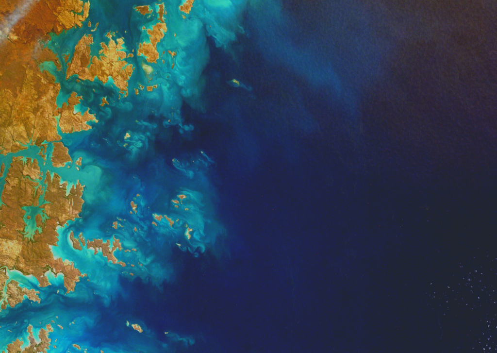 News - Insignia Crew